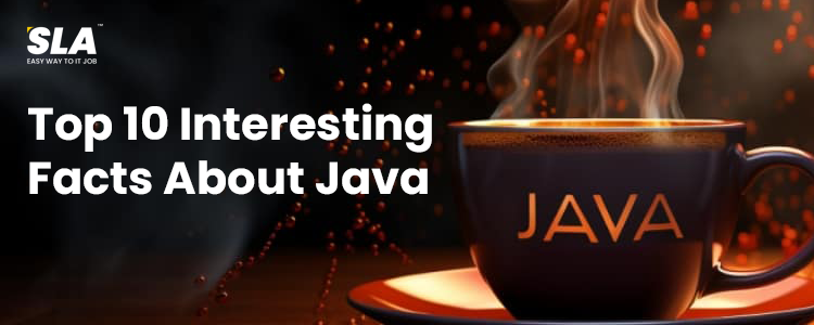 Discover the Top 10 Facts About Java